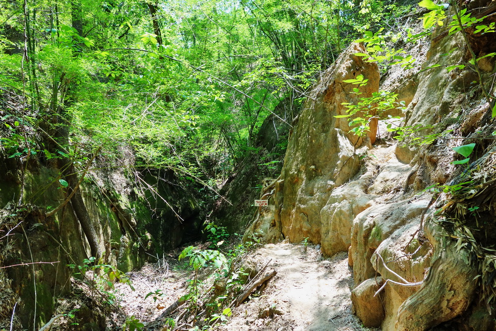 Land Split Pai is a naturally occurring crack in the ground